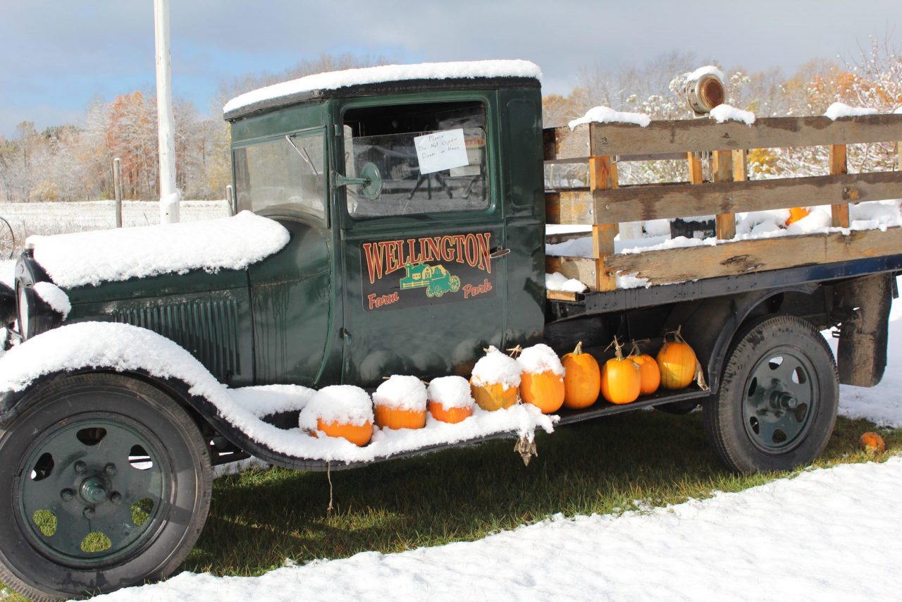 Fall to winter | Wellington Farm USA | Grayling, MI